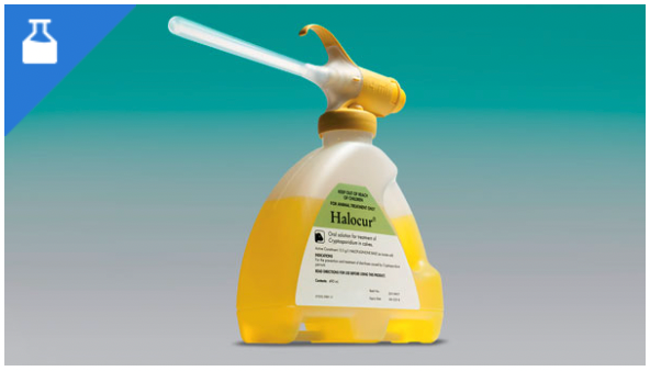 Manage Calf-Health NZ | Top Farmers Know-How